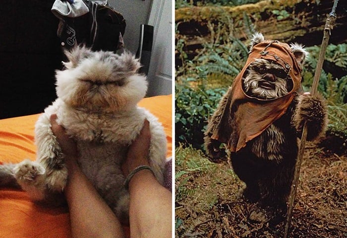 25 cosas que tienen un increíble parecido entre sí