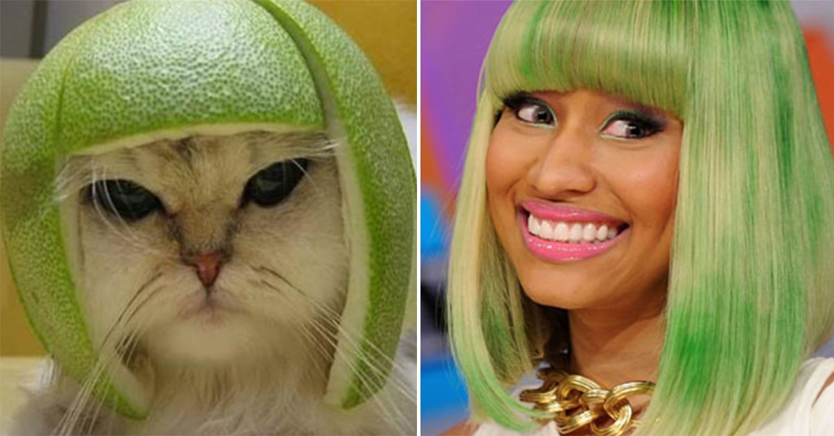 25 cosas que tienen un increíble parecido entre sí