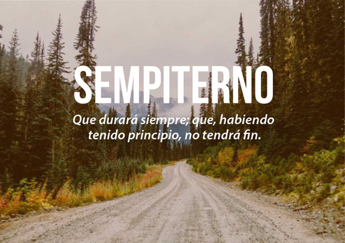 Palabras Con Un Lindo Significado In 2020 Weird Words - vrogue.co Palabras Con Un Lindo Significado In 2020 Weird Words - vrogue.co