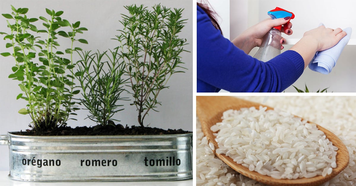 15 consejos para que tu casa tenga olor agradable