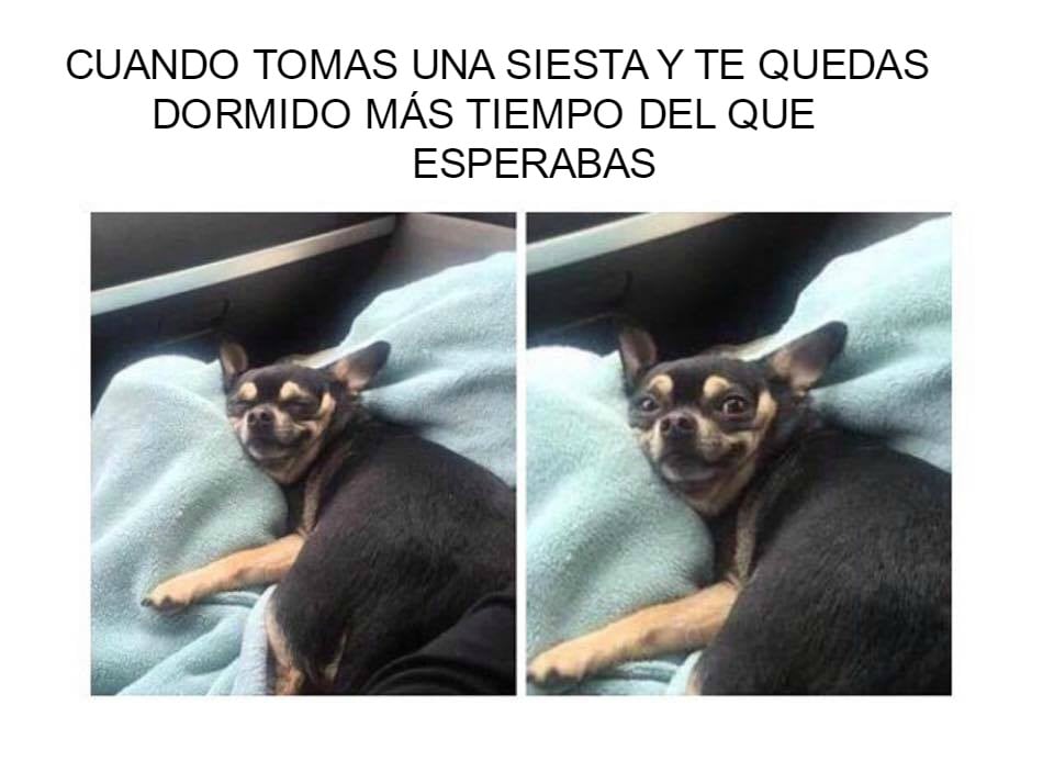 20 Divertidos memes que te encantarán si amas dormir