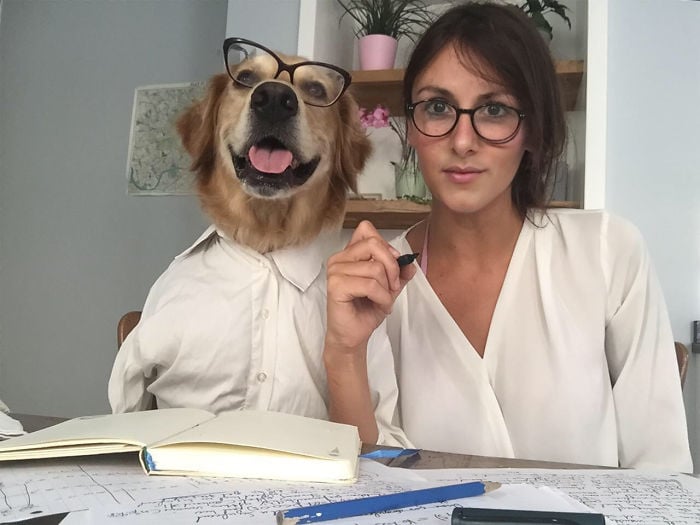 Fotógrafa creó la galería más divertida con perro labrador