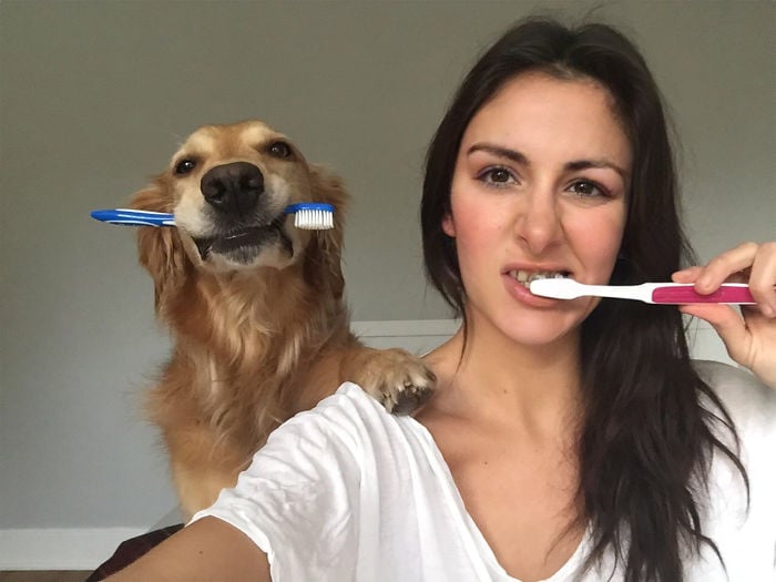 Fotógrafa creó la galería más divertida con perro labrador