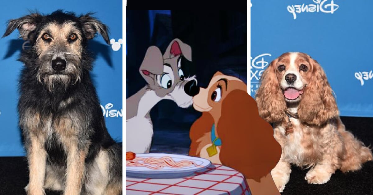 Finalmente aquí está el trailer de ‘La Dama y el Vagabundo’