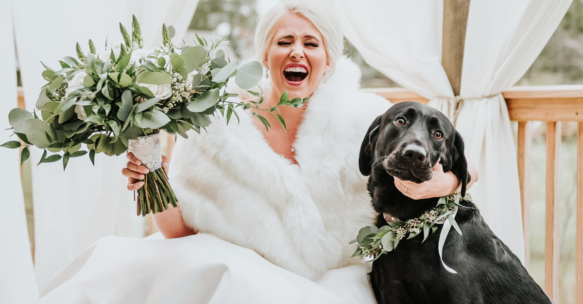 Novia llevó a su perro a la sesión de fotos de su linda boda