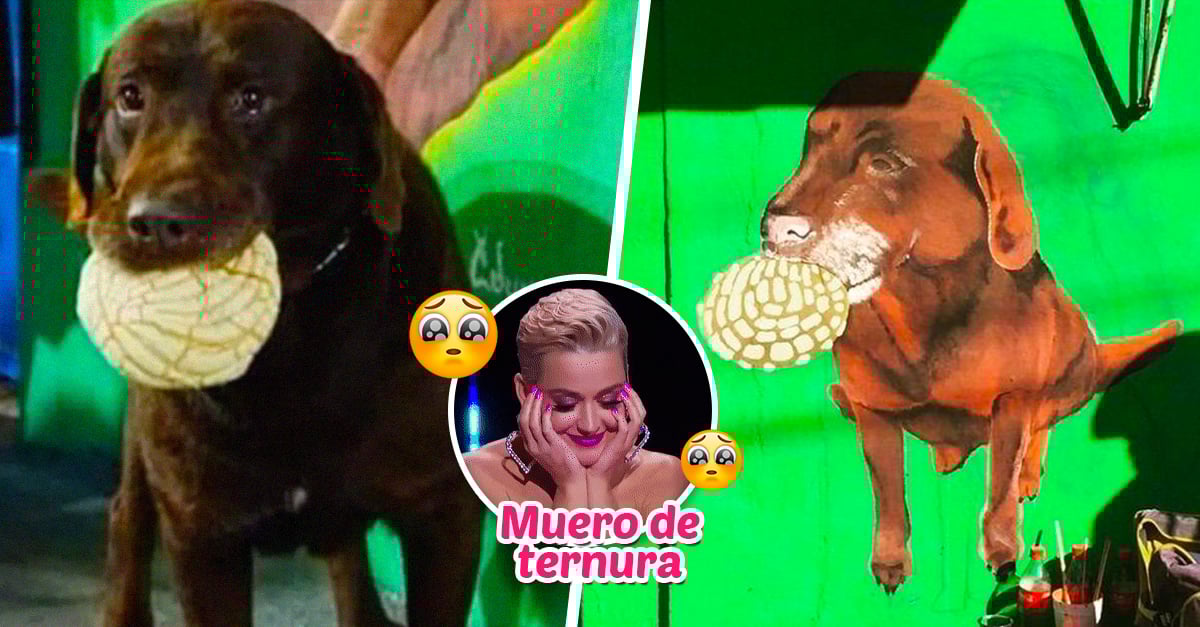 ‘El Chonchas’ el perro amante del pan que tiene su mural