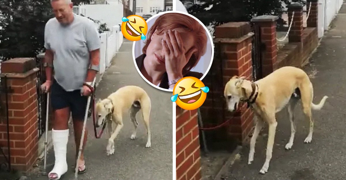 Lleva a veterinarios a su perro cojo; descubre que lo imita