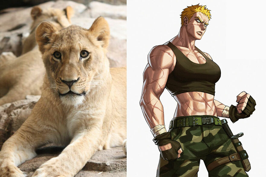 Artist transforms animals into anime characters and they deserve their ...