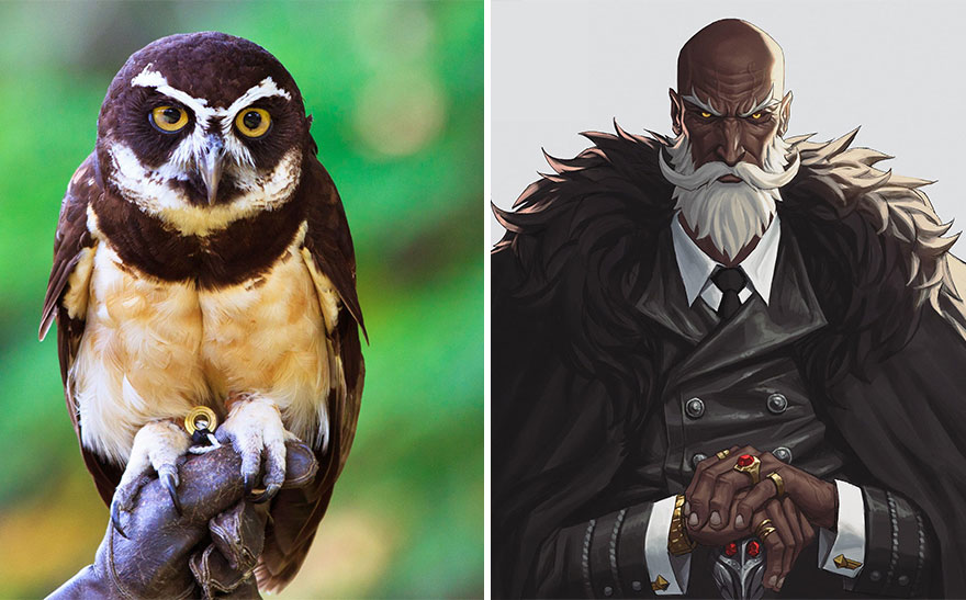 Artist transforms animals into anime characters and they deserve their ...