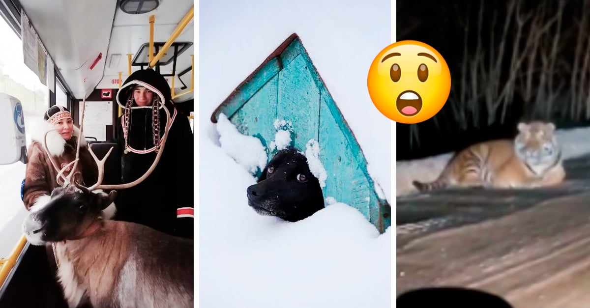 20 Bizarre Photos That Portray What Life Is Like In Russia - World ...