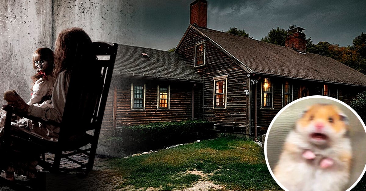 Horror offer! The amount of money they paid for the house that inspired ...
