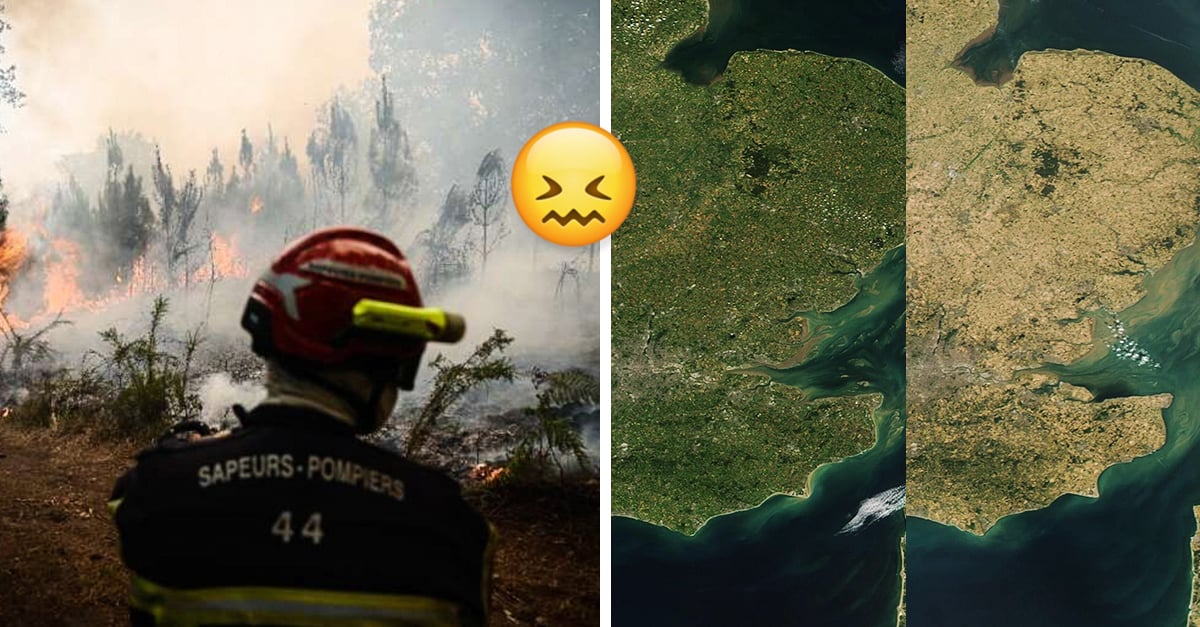 Shocking images reveal devastation left by UK heatwave - World Stock Market