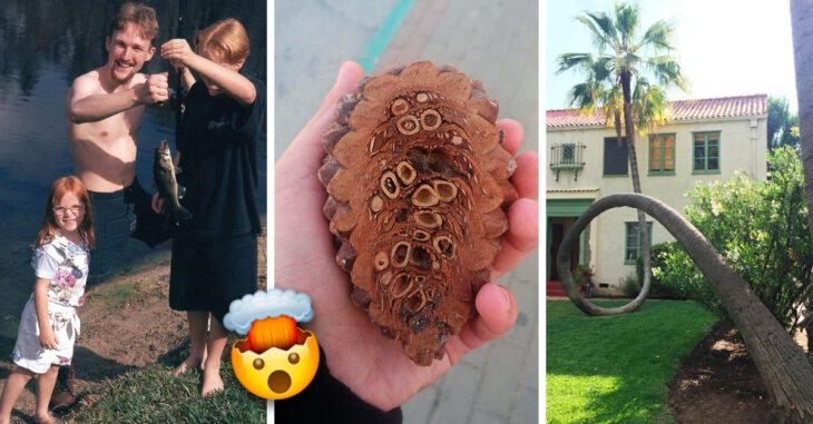 15 Fotos dignas de estar en la sección: “Difícil de creer”