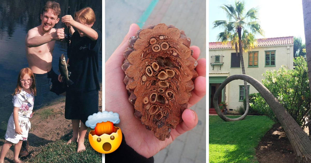 15 Fotos dignas de estar en la sección: “Difícil de creer”