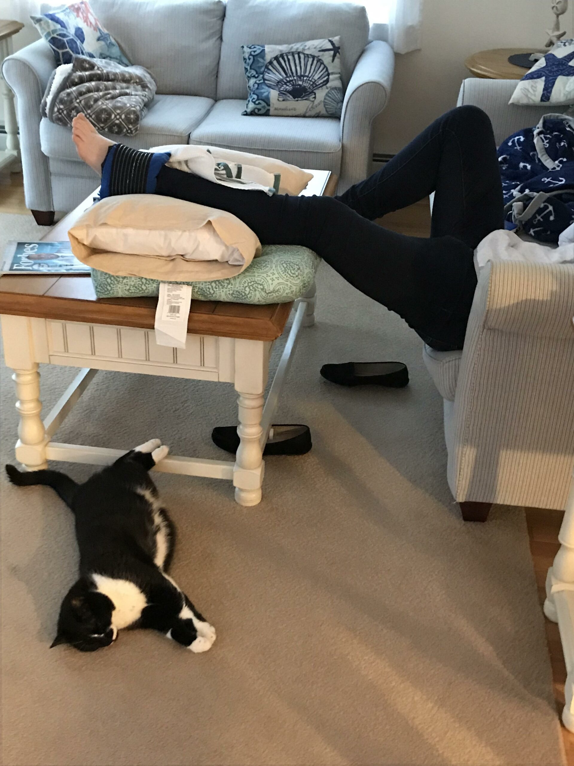 20 fotos y memes de gatos para alegrarte el día