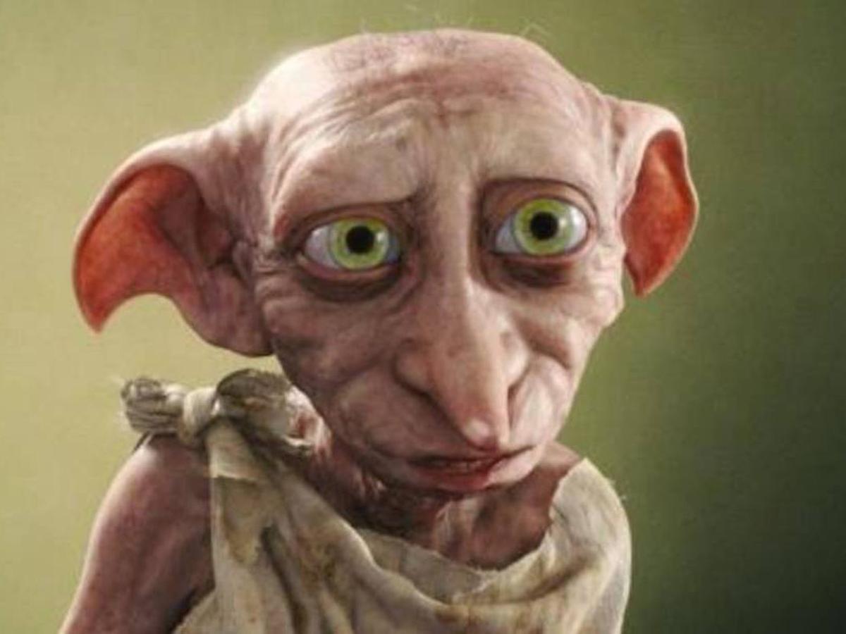 Piden que dejen de llevar calcetines al monumento de Dobby
