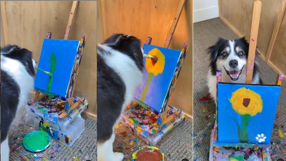 Perro pintor sorprende a internautas con su destreza en el lienzo