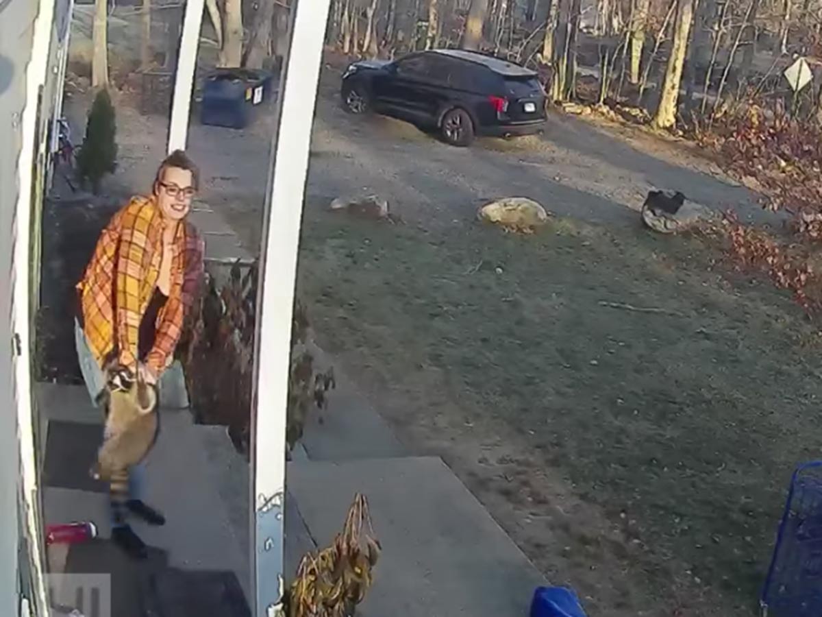 Mom Saves Daughter From Wild Raccoon Attack And Goes Viral World