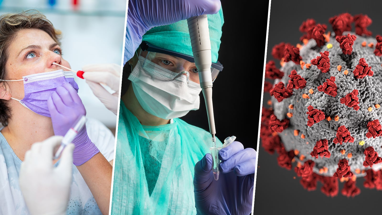 OMS declara el fin de la pandemia global por covid-19